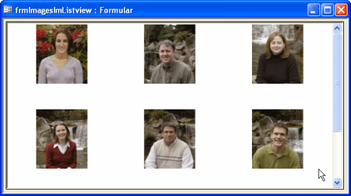 Images und Icons im ListView-Steuerelement - Access im Unternehmen