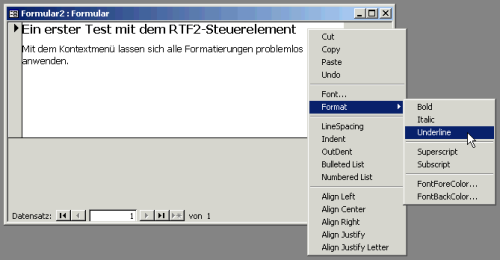 Formatierte Texte in Berichten - Access im Unternehmen